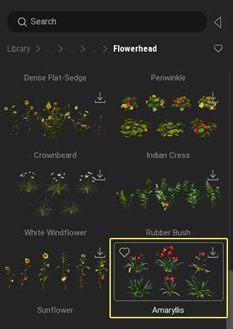 Image result for Quixel Library