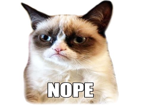 Image result for Grumpy Cat Humor