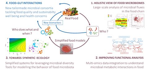 Image result for Microbial Ecology