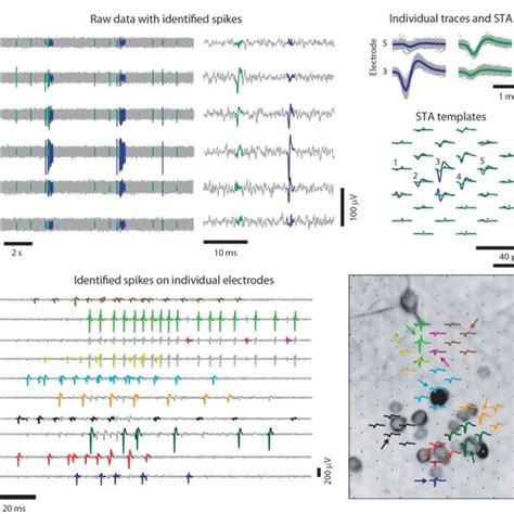 Image result for Spike Clues Part Experiments