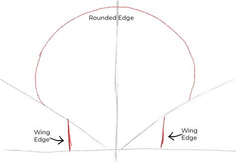 Image result for Seashell Shape Drawing Basic