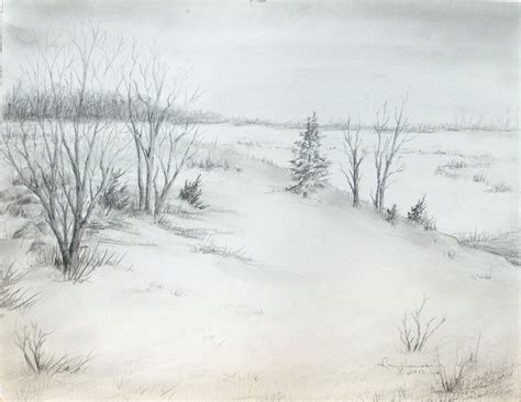 Image result for Example of Graphite Drawing