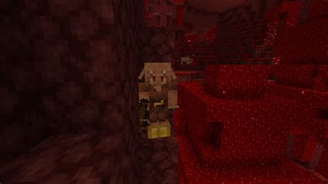 Image result for Nether Update Secerets