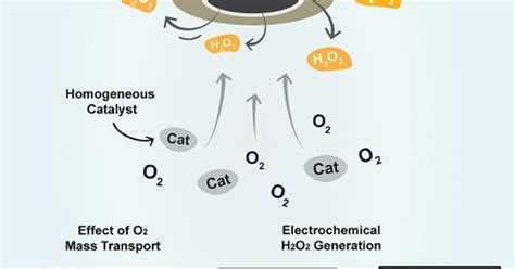 Image result for H2O2 Reaction with Electron