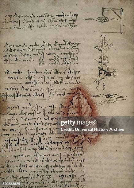 Image result for Da Vinci Code Codex