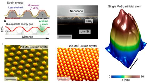Image result for 2D Database MoS2