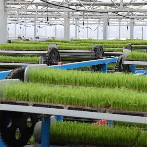 Image result for Spring Farming Machine