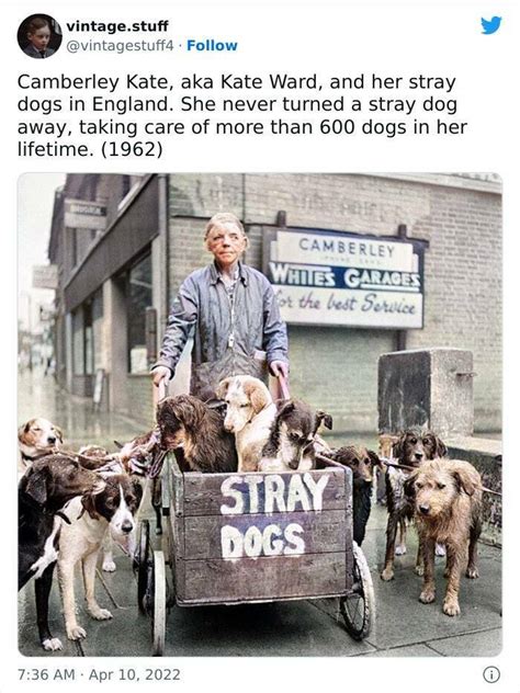 Image result for Color Screen History