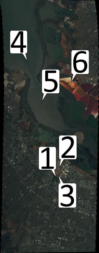 Image result for Classifying Objects in Science