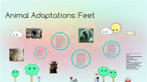 Animal Adaptations: Feet by Clare Mayes on Prezi