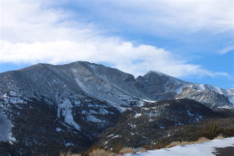 Image result for Prometheus Tree