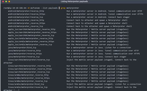 Image result for Metasploit Meterpeter