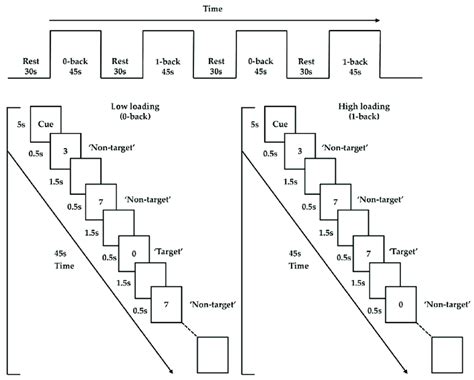 Image result for N Back Task Training