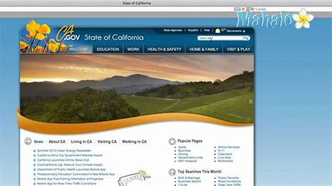 Image result for State Refund