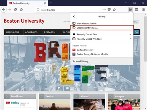 Image result for Browser Cache Windows 1.0