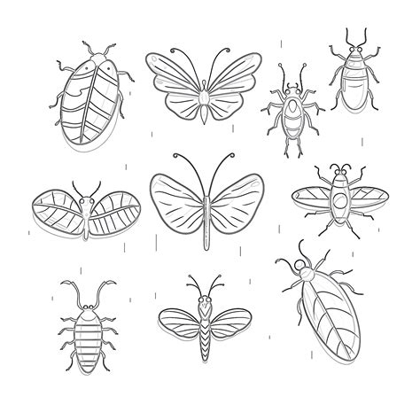 Image result for Insects Coloring Pages