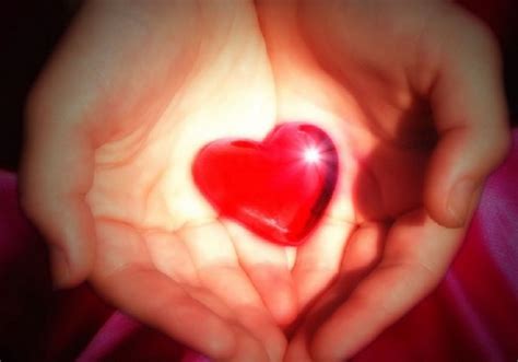 Image result for Di Hati Programme