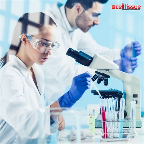 Image result for GMP Lab