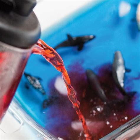 Image result for DIY Science Project Ocean Current Energy