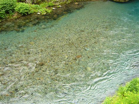 Image result for Clearest Blue Live