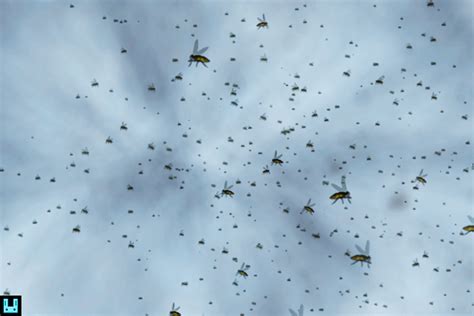 Image result for Fly Texture Unity