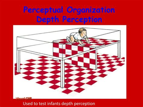Image result for Perceptual Organisation Example