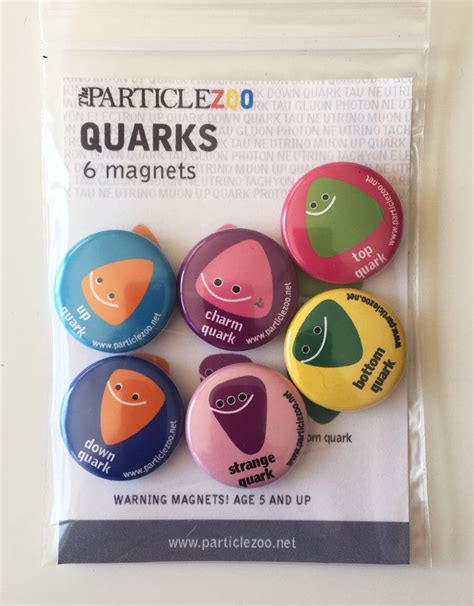 Image result for Subatomic Particle Magnetism