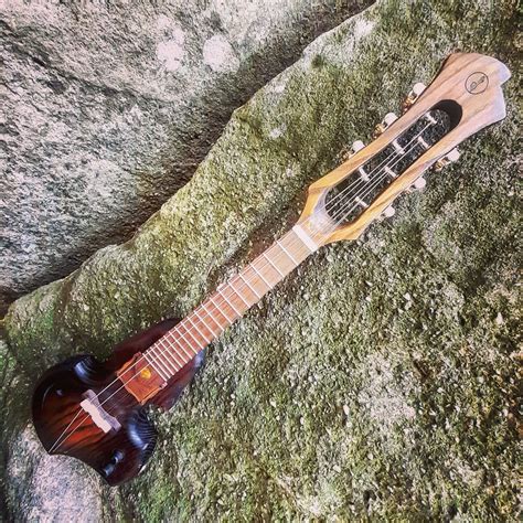 Image result for 6 String Mandolin