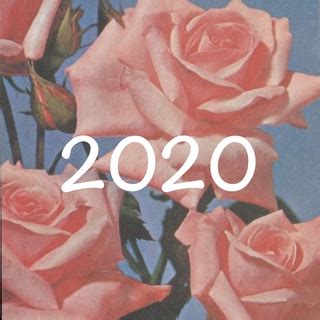 Image result for Alien Catmint