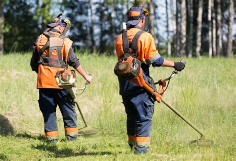 Image result for Weed Control Service