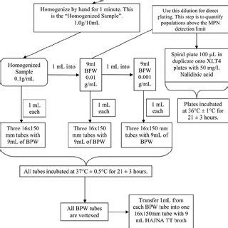 Image result for TMECC Compost Testing