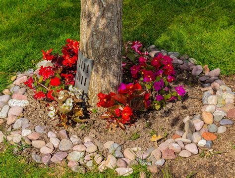 Image result for How Get Circle around Tree for Landscaping