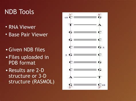 Image result for Nucleic Acid Database