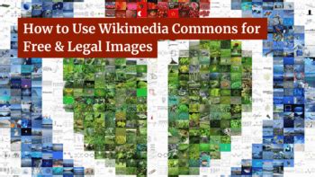 Image result for Commons Wikimedia.org