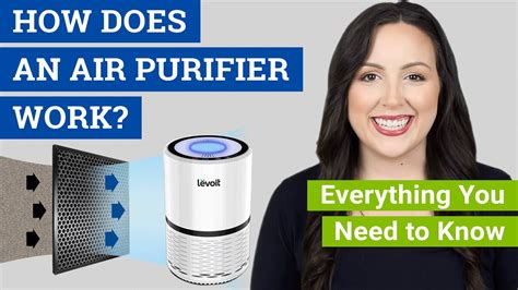 Image result for How Does a Purifier Work