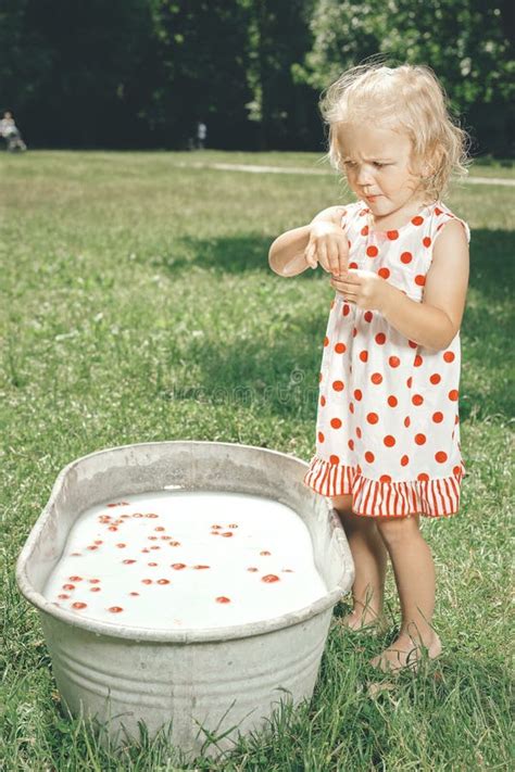 Image result for Lady Bug Bathing