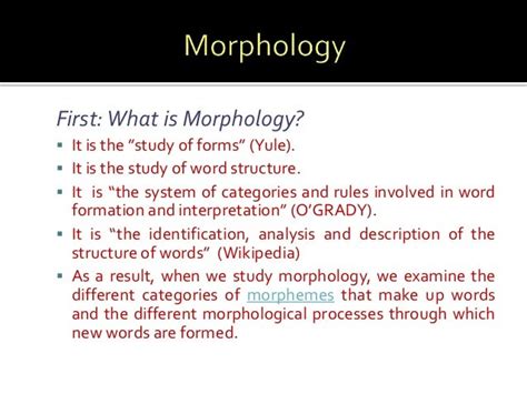 Image result for Example of Morphological