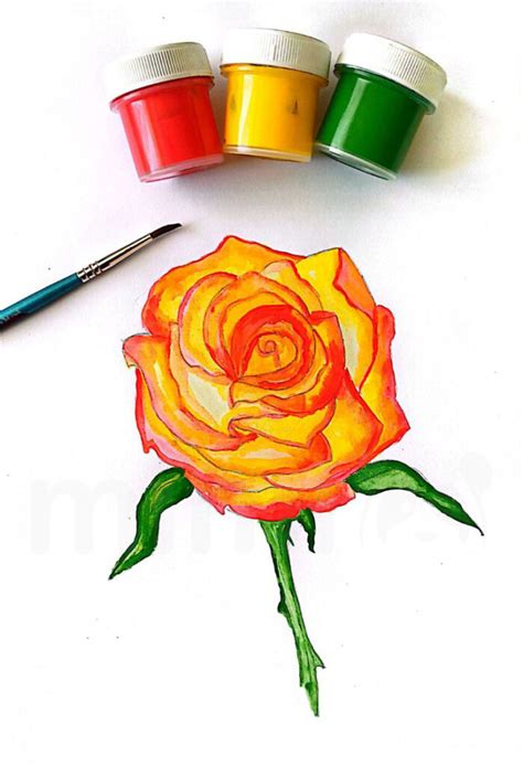 Image result for Squirrel Drawing Tutorial