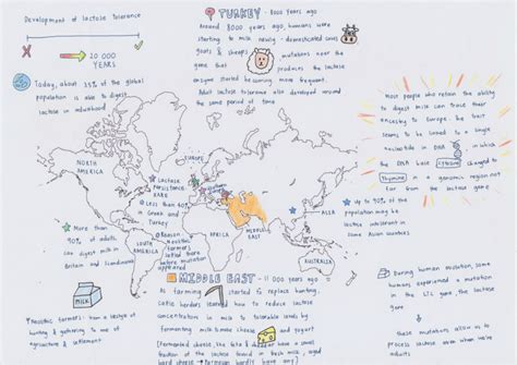 Image result for Lactose Intolerance and Evolution