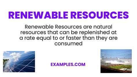Image result for Renewable resource Examples