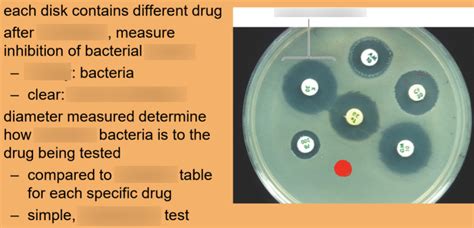 Image result for Disk Diffusion Method