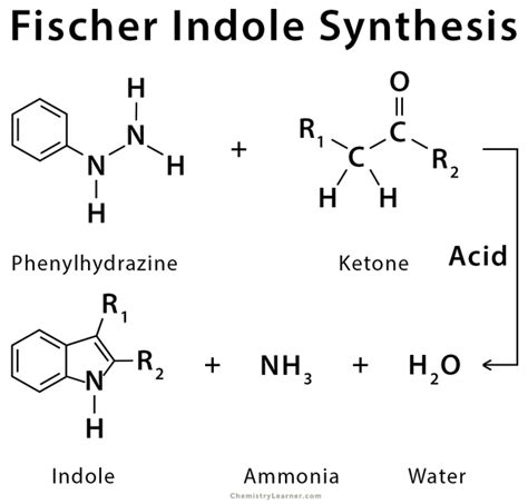 Image result for Synthesis