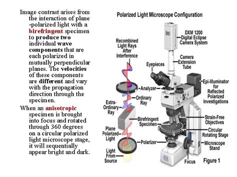 Image result for Polarized Microscope