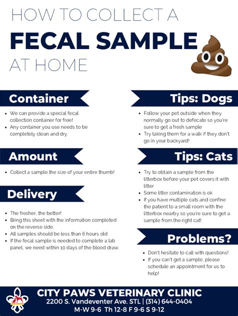 Image result for How to Get Stool Sample