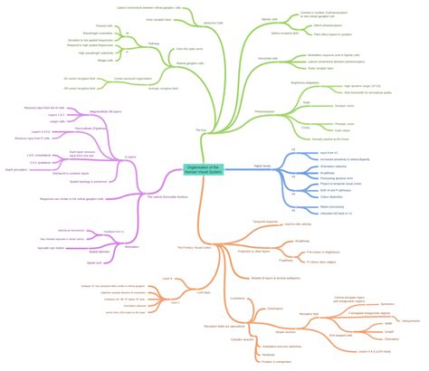 Image result for What Is Human Visual System