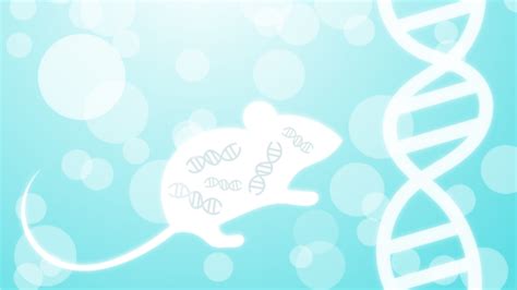 Image result for Yamanaka Discovered Cellular Reprogramming