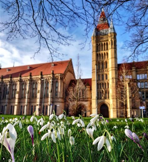 Image result for Springing Upseer