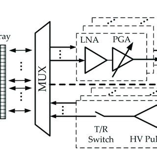 Image result for Linear Array Ultrasound Signal Processing Diagram