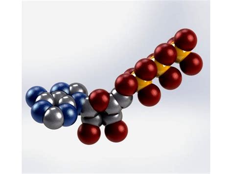 Image result for ATP Molecule Model