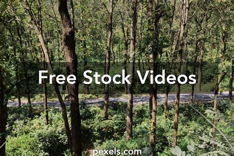 Image result for Short Video Coding